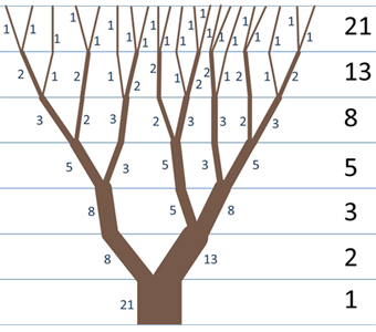 Secuencia Numerica Creacion Vida Fibonacci Sucesion Numeros
