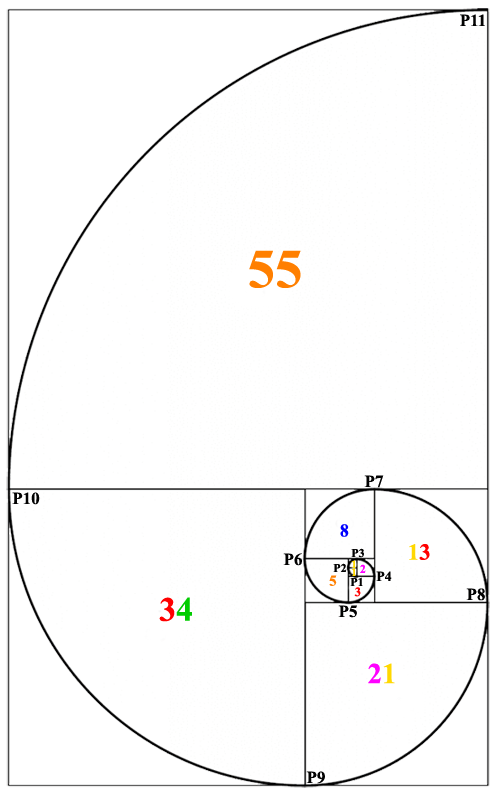 Secuencia Numerica Creacion Vida Fibonacci Sucesion Numeros