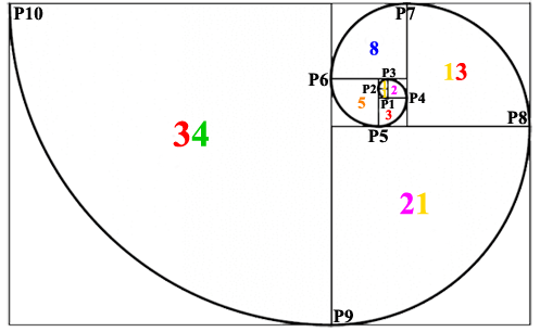 Secuencia Numerica Creacion Vida Fibonacci Sucesion Numeros